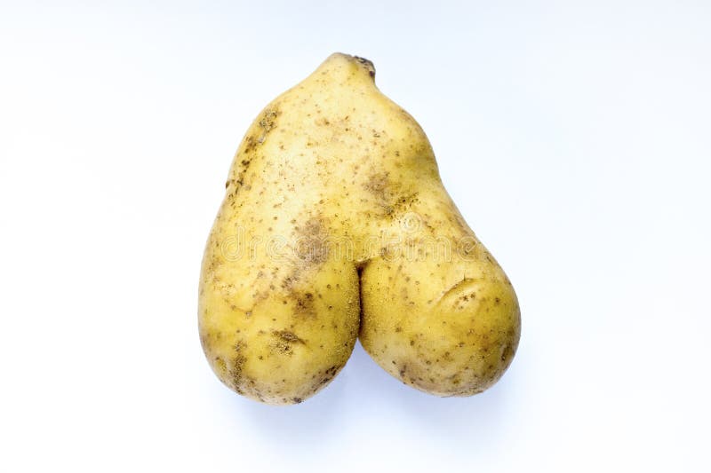 Potato Unusual Bizarre Funny Shape in the Form of Cheburashka Stock ...