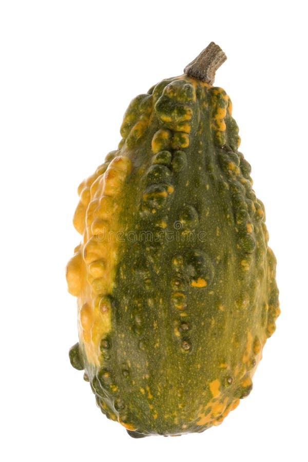 Unusual shaped gourd stock photo. Image of ornamental - 6871894