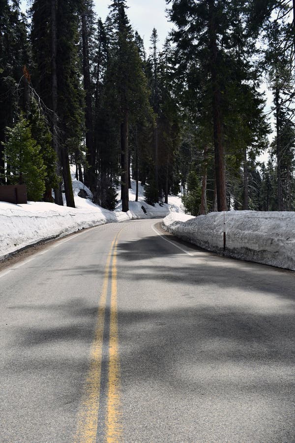 Unusual Spring Storm Blankets Road in Snow Stock Image - Image of snowy ...