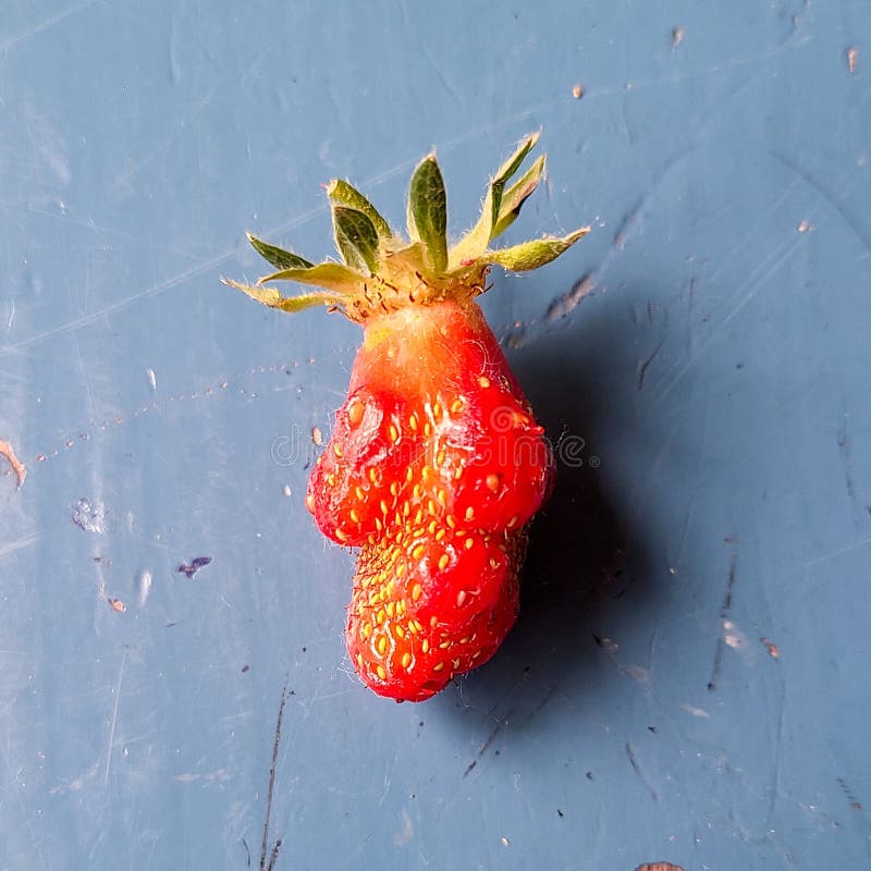 Unusual strawberry shape stock image. Image of vegetable - 285179685