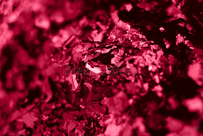 Red Colored Glossy Fern,natural Background,trendy Color Stock Image ...