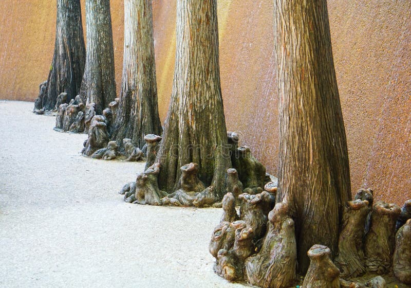 Trees Lining the Water Gardens in Fort Worth, Texas Stock Photo - Image ...