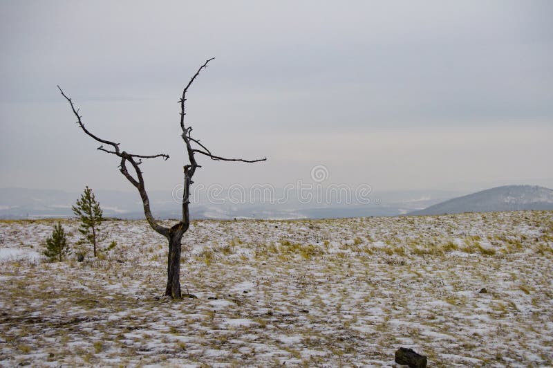 Redi Gor Stock Photos - Free & Royalty-Free Stock Photos from Dreamstime