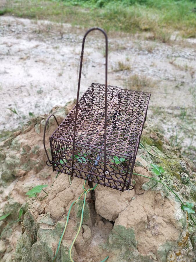 Rusty Rat Trap Stock Photos - Free & Royalty-Free Stock Photos from ...