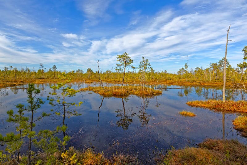 Unwegsamer Sumpf In Sibirien Stockfoto - Bild von nave, dämme: 95258960
