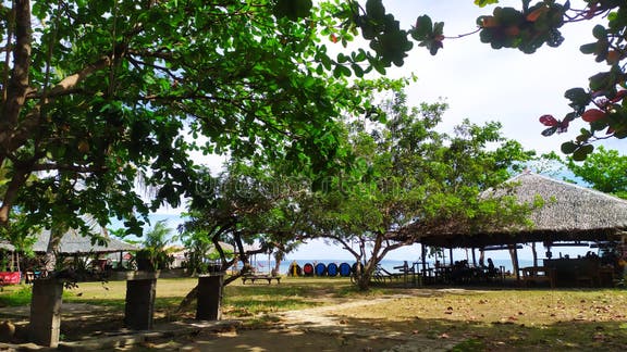 Unwind in the beach editorial photo. Image of green - 225148001