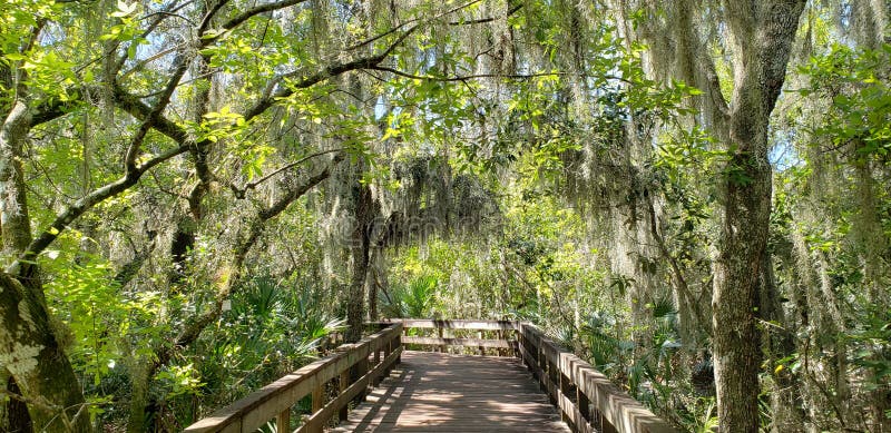 Unwind in Nature stock photo. Image of spanish, breathtaking - 174340882