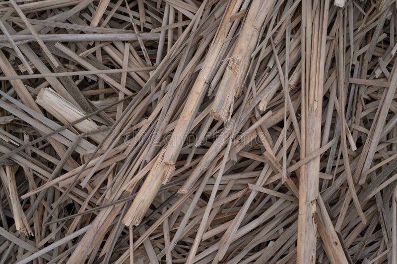 Unwrought Dried Reed on the Lake Shore Background Stock Photo - Image ...