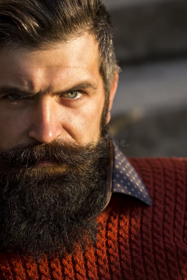 Uomo con la barba lunga immagine stock. Immagine di faccia - 61304229