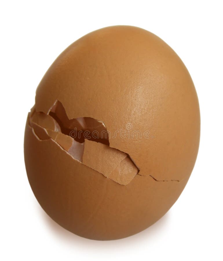 Uovo-rotto fotografia stock. Immagine di nido, covata - 4350526