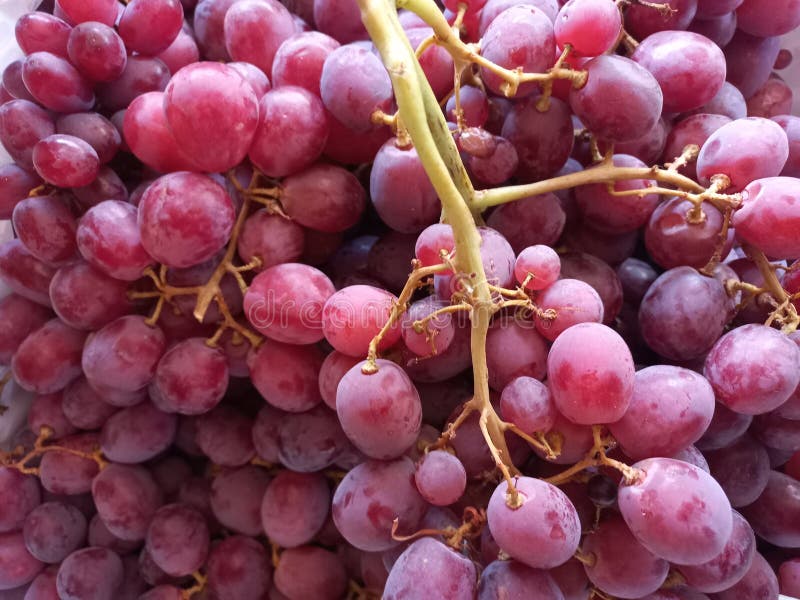 Up Close and Fresh Red Grapes in Bali Market Stock Image - Image of ...