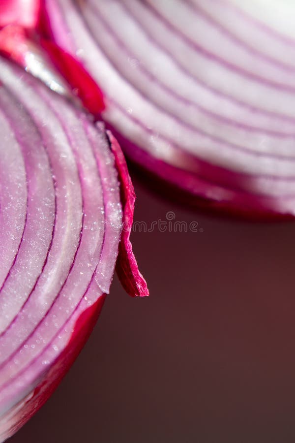 Up Close Texture of the Inside of a Red Onion Stock Image - Image of ...
