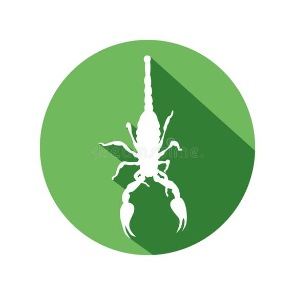 Vector Design of a Scorpion Animal with a Long Shadow Technique Stock ...
