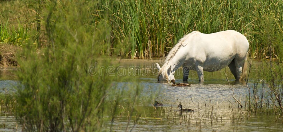 22,598 Ending Giver Stock Photos - Free & Royalty-Free Stock Photos ...