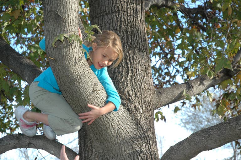 7,983 Girl Climbing A Tree Stock Photos - Free & Royalty-Free Stock ...
