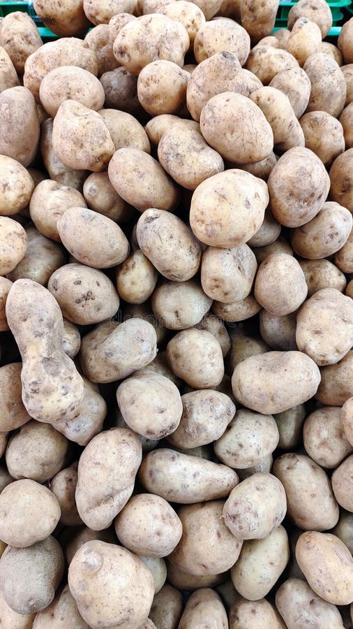 Up View of the Piling Potatoes Stock Photo - Image of herb, fruit ...