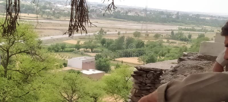Up Views in Mountain Plants Tree Stock Image - Image of soil, landscape ...