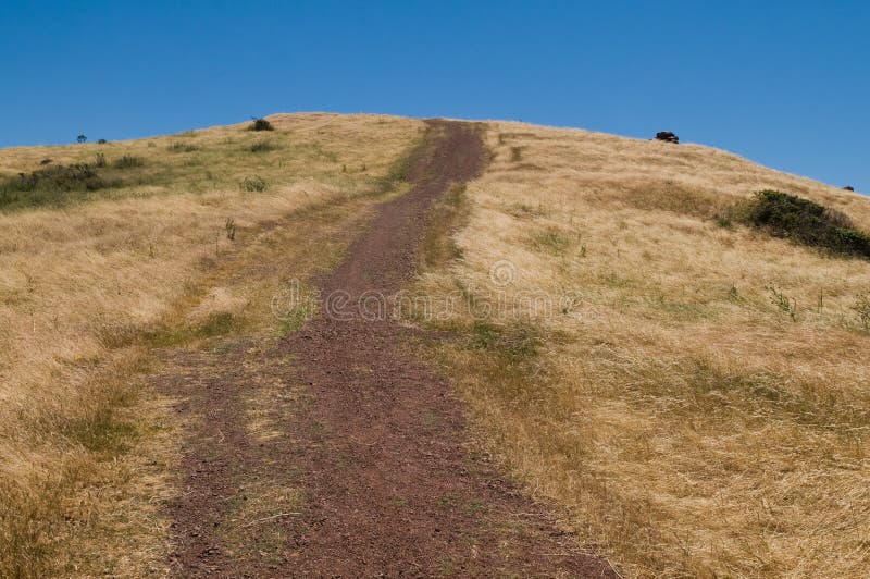 Uphill stock photo. Image of park, steep, path, regional - 14455956