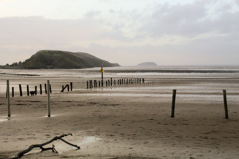 410 Brean Stock Photos - Free & Royalty-Free Stock Photos from Dreamstime