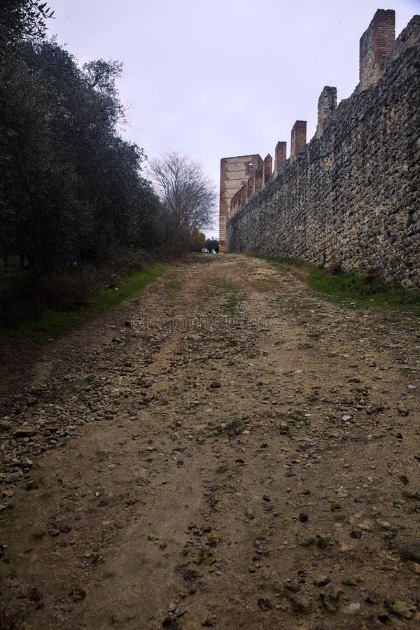 Uphill Dirt Path Bordered by an Olive Tree Grove and an Ancient ...