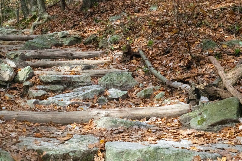 Uphill log and rock path stock image. Image of dried - 274429635