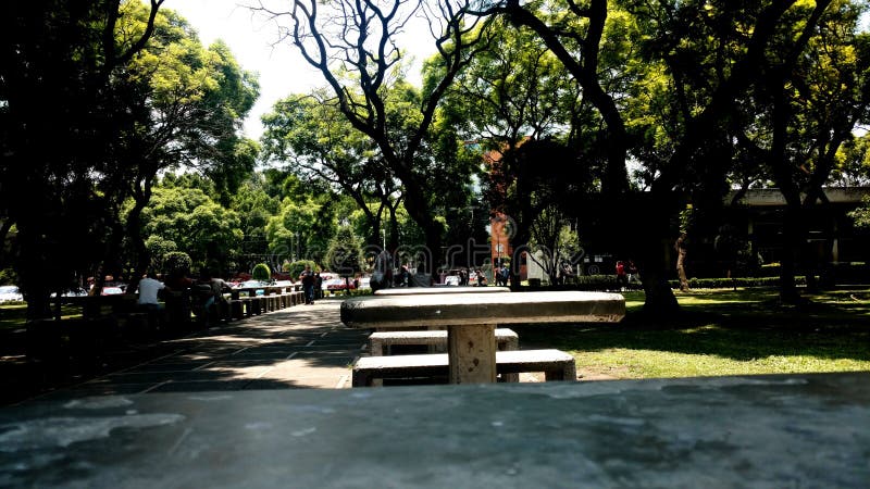 Upiicsa stock image. Image of verde, universidad, upiicsa - 97122153