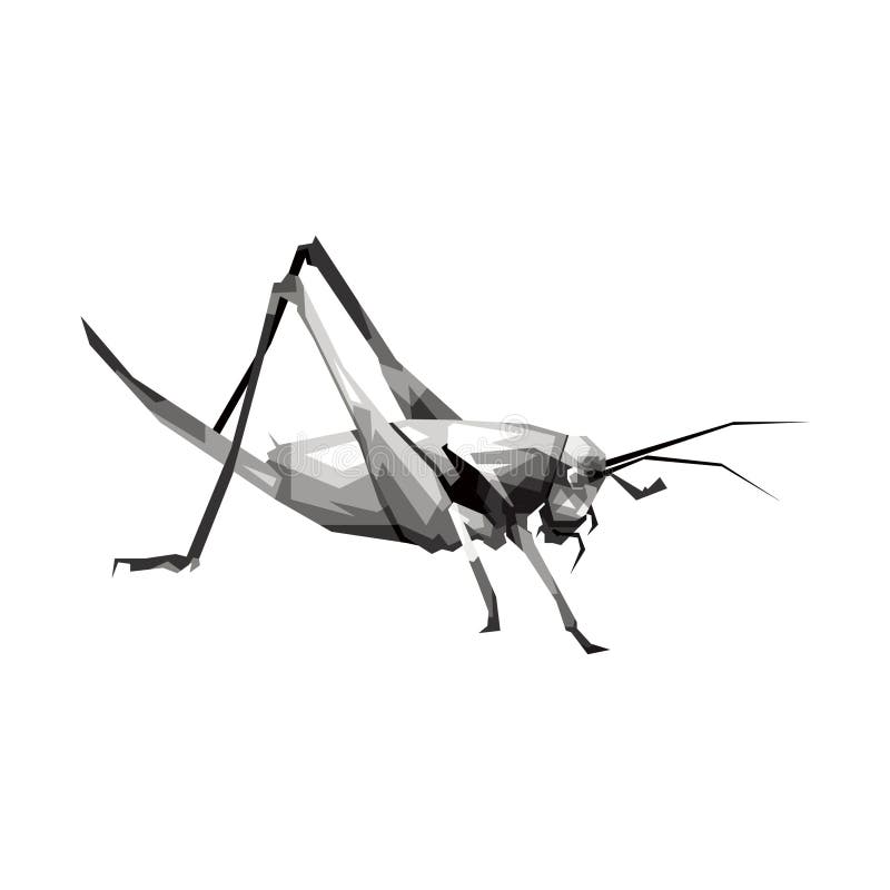 Grasshopper Illustration Design with Black and White Wpap Pop Art ...