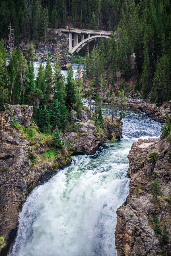 UPPER Falls of the Yellowstone from Artist Point Stock Photo - Image of ...