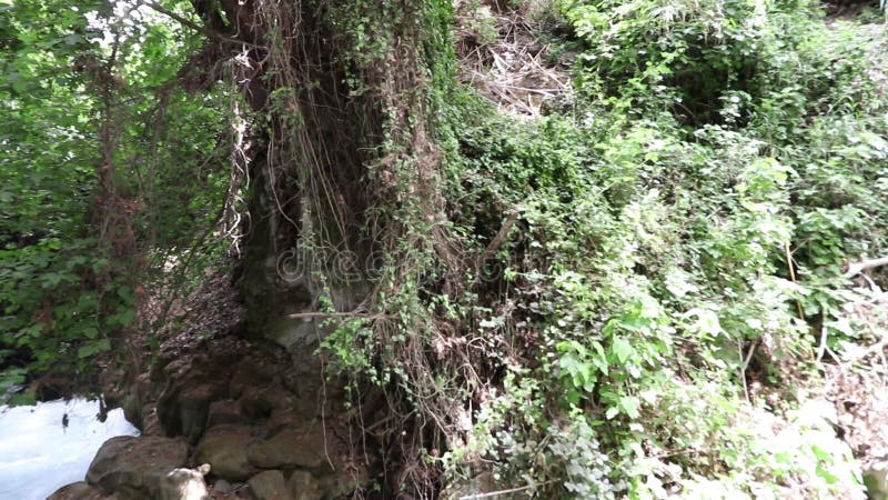Upper Hermon River - Banias, Which Flows between the Rocks in the Golan ...
