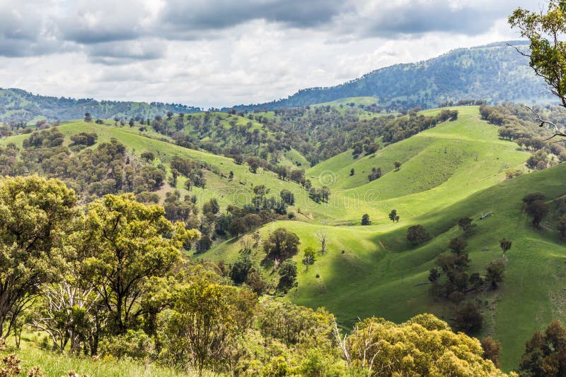 Upper Hunter Valley, NWS, Australia Stock Photo - Image of travel ...