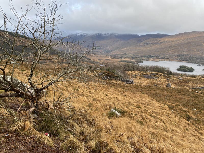 Upper Lake in Killarney stock image. Image of coast - 270440821