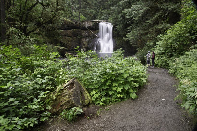 Upper North Falls Silver Falls State Park Stock Image - Image of silver ...