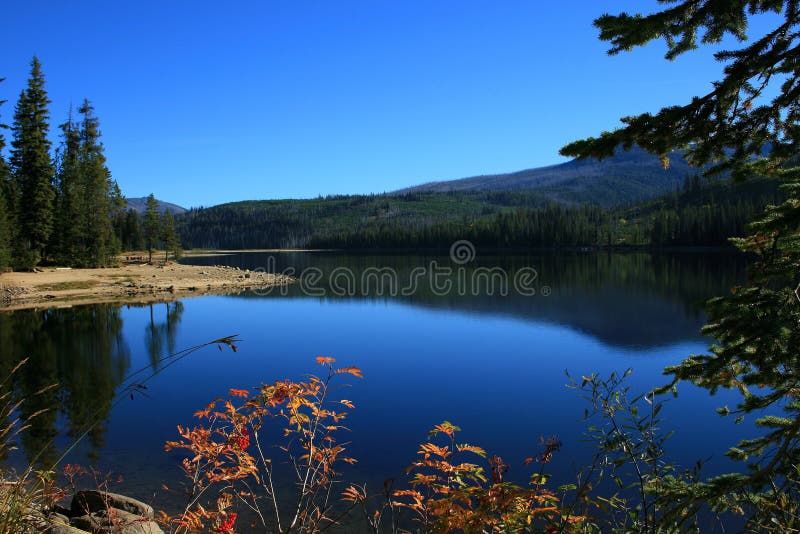Upper Payette Lake in the Fall Stock Image - Image of leaves ...