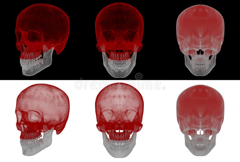 Upper skull stock illustration. Illustration of dark - 77421134