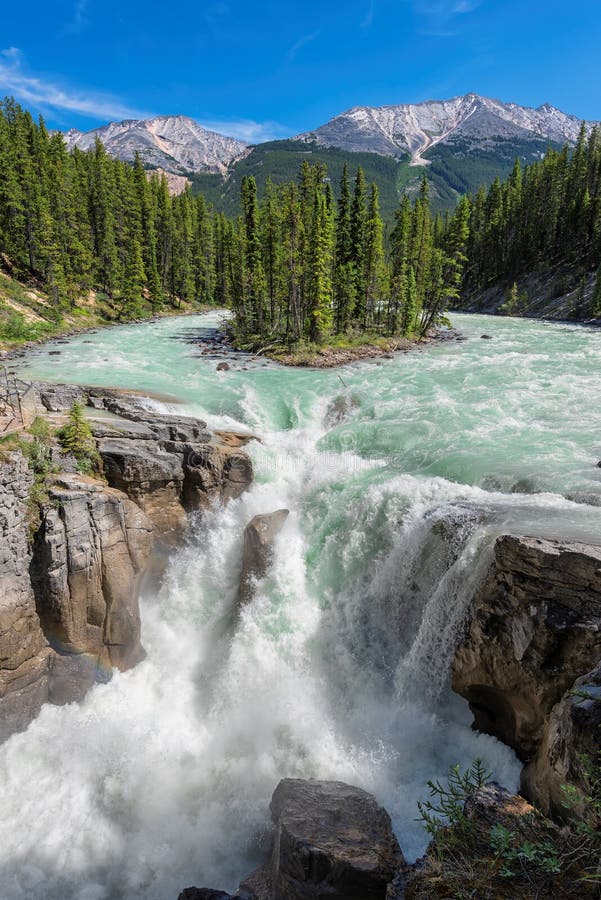 Sunwapta Falls in Jasper National Park Stock Photo - Image of forest ...
