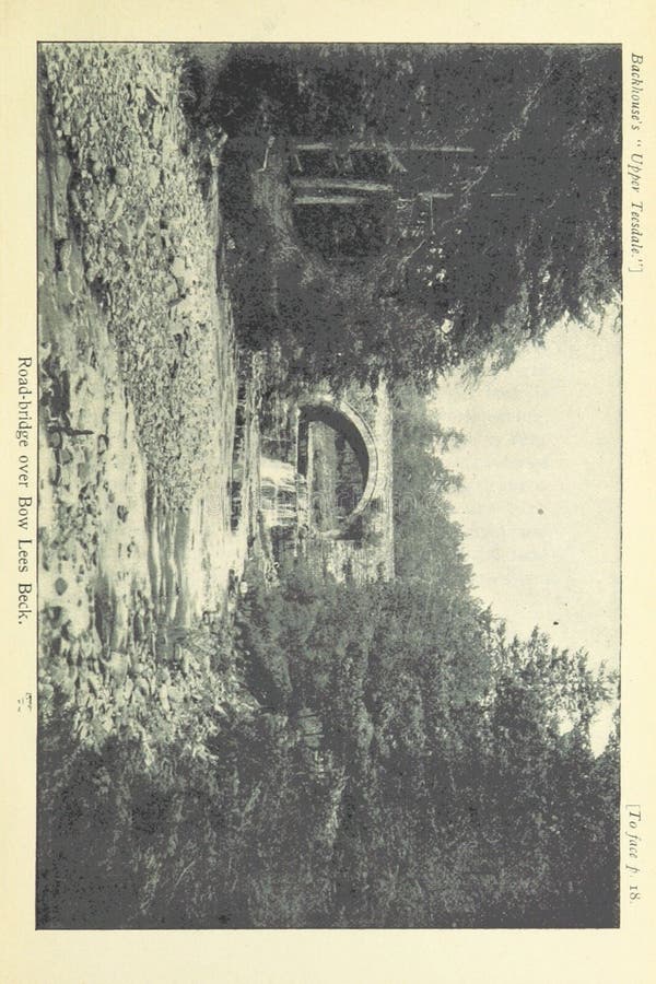British Library Digitised Image From Page 39 Of "Upper Teesdale, Past ...