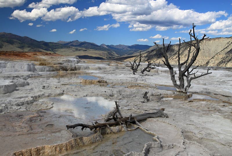 Upper Terrace in Yellowstone NP Stock Image - Image of water, volcano ...