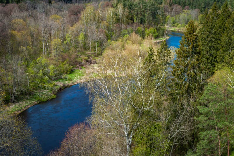 Upper View of the River Flowing through the Forest Stock Image - Image ...
