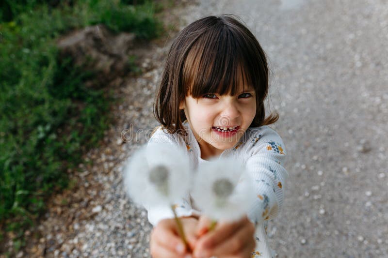 Upper View on Small Child Holding Out Dandelion Flowers Stock Image ... Upper View on Small Child Holding Out Dandelion Flowers Stock Image ...