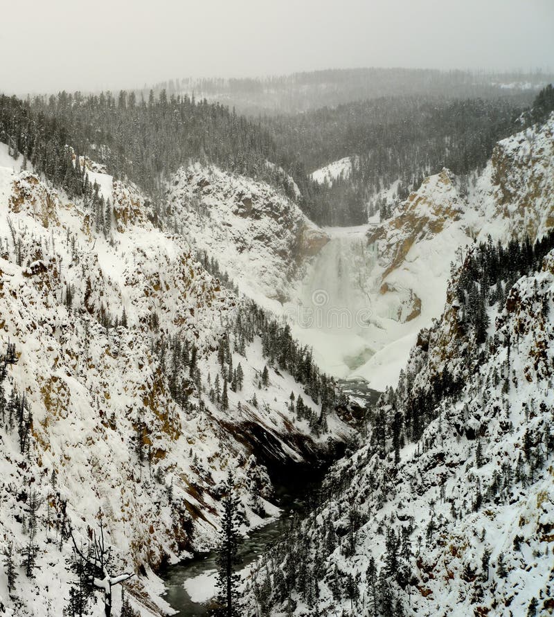 Upper Yellowstone Falls in Winter Stock Image - Image of volume ...
