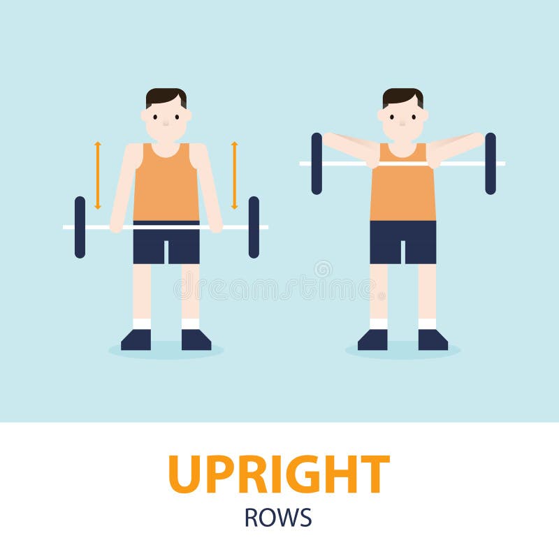 Upright Barbell Row Exercise Guide Stock Vector - Illustration of press ...