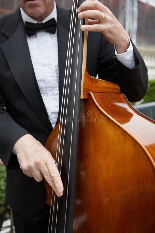 Acoustic Double Bass Player Stock Photo - Image of octave, double: 5054402