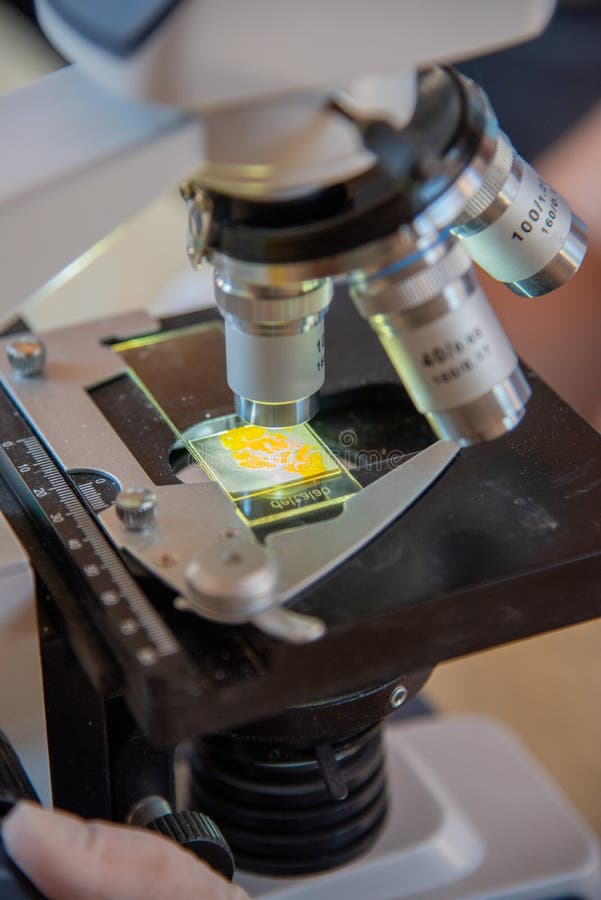 Upright microscope detail stock image. Image of biology - 254770667