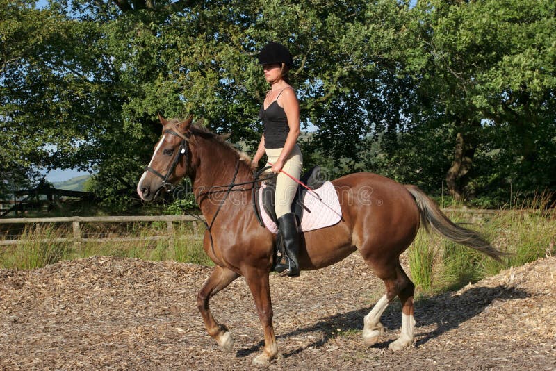 Upright Riding Posture stock image. Image of outfit, female - 3131983