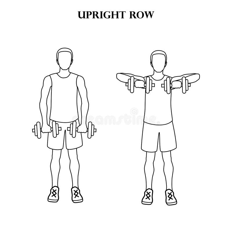 Gym Exercise: Upright Row. Vector Illustration Stock Vector ...