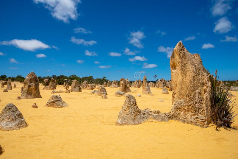 The Pinnacles Desert White Sand Dunes in Western Australian Landscape ...