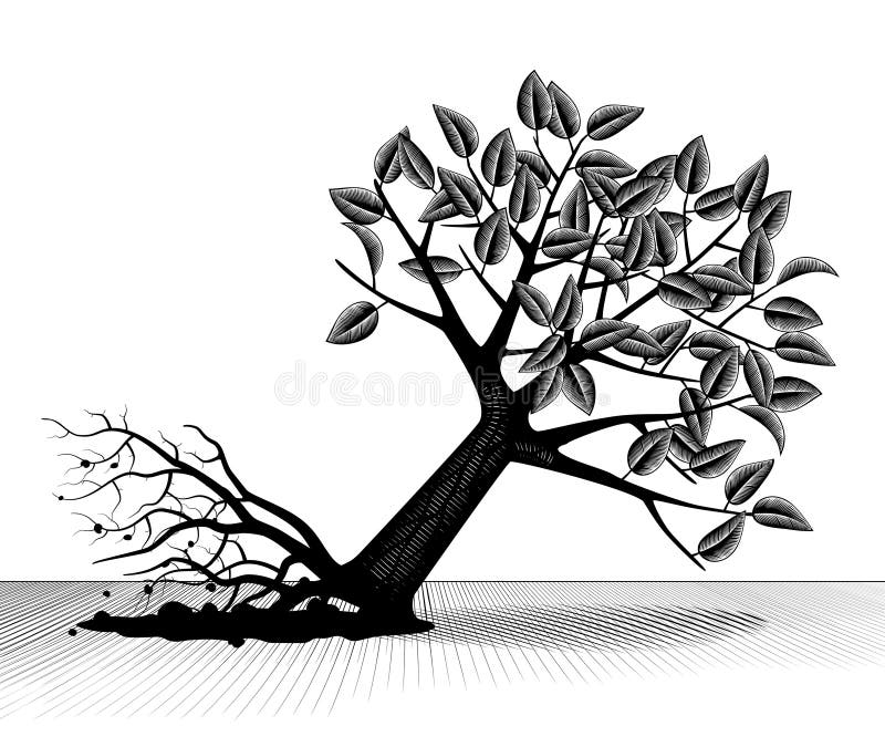 Uprooted Tree Stock Illustrations – 36 Uprooted Tree Stock ...