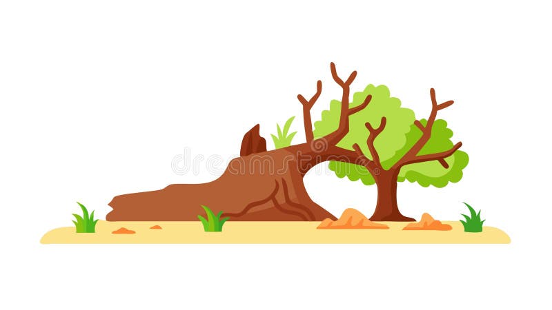 An Uprooted Tree Lying on the Ground after a Storm or Logging. Vector ...