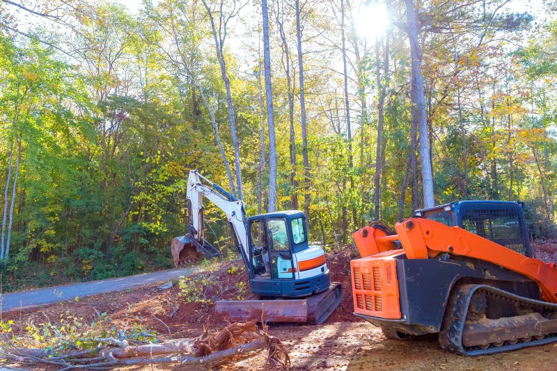 An Uprooted Tree is Uprooted by a Tractor during Construction ...