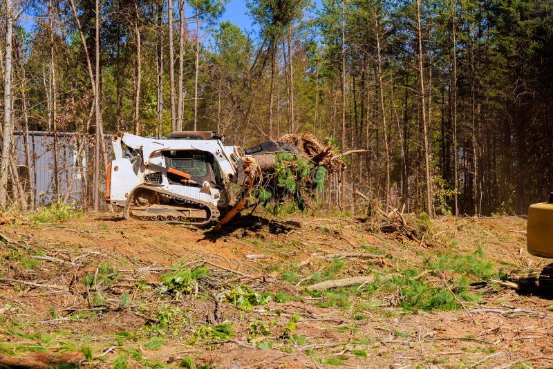Uprooting Trees when Preparing Land for Construction with an Excavator ...